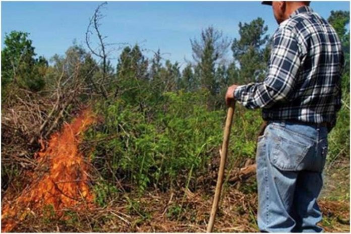 Comunicação de queimas e queimadas | Região do Zezere